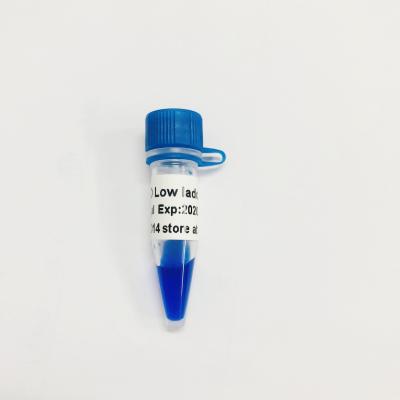 Cina elettroforesi bassa dell'indicatore del DNA della scala di 100bp 300bp LD in vendita