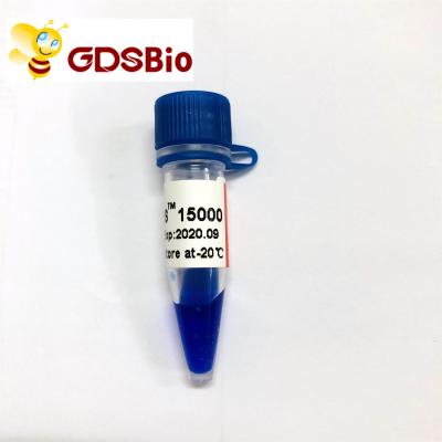 Cina Elettroforesi dell'indicatore del DNA di DS LD 15000bp 15kb 50 preparazioni in vendita