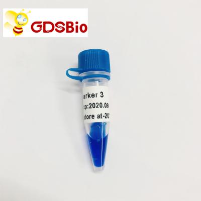 Cina Elettroforesi dell'indicatore del DNA dell'indicatore 3 di GDSBio LD 60 preparazioni in vendita
