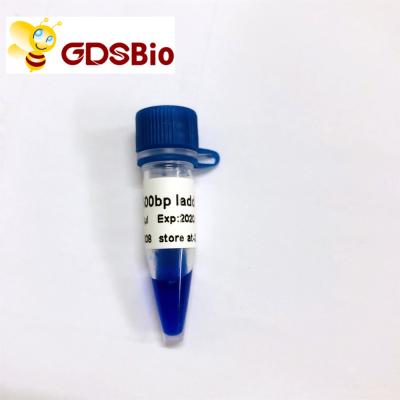 Cina elettroforesi del gel della scala del DNA di 500bp LD 60 preparazioni in vendita