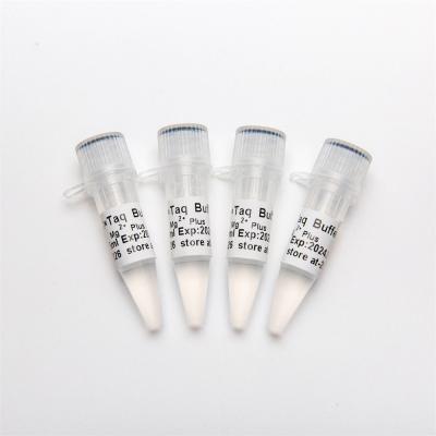 中国 10× Mg2+ MgCl2 P5011 を含む PCR バッファー 1.25ml×4 販売のため
