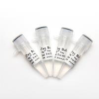 China Colourless 10× PCR Buffer Without Mg2+ P5011a 1.25ml×4 for sale
