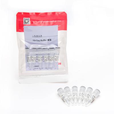 China 1,25ml×6 tampão de PCR 10× pronto para uso com conjunto Mg2+ P5011b à venda
