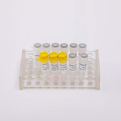 Cina V5001 One Step Rt QPCR Master Mix For Research Use in vendita