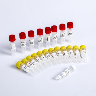 中国 Illumina K002-A/192のrxnsのためのNGSの図書館の構造マルチプレックスOligos 1 販売のため