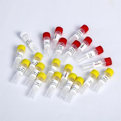 中国 Illumina K002-A/192のrxnsのためのNGSの図書館の構造マルチプレックスOligos 1 販売のため