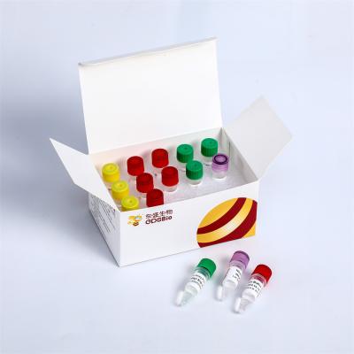 中国 High Throughput Sequencing Platform NGS Library Construction Fast DNA Plus Prep Kit K004-A 販売のため