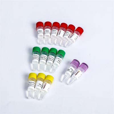 中国 High Throughput Sequencing Platform NGS Library Construction Fast DNA Plus Prep Kit K004-A 販売のため