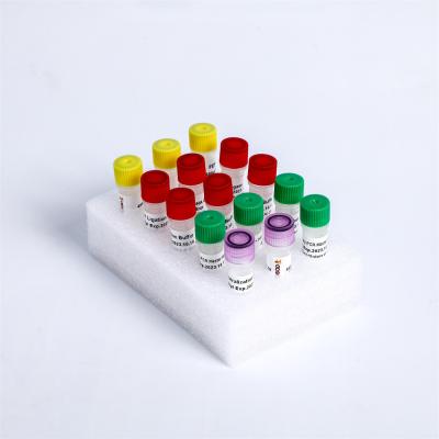 中国 High Throughput Sequencing Platform NGS Library Construction Fast DNA Plus Prep Kit K004-A 販売のため