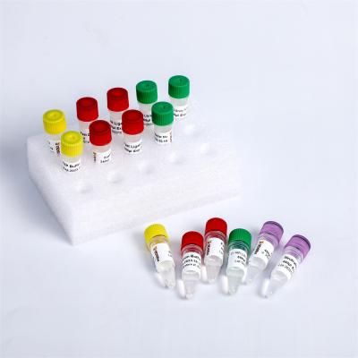 中国 High Throughput Sequencing Platform NGS Library Construction Fast DNA Plus Prep Kit K004-A 販売のため