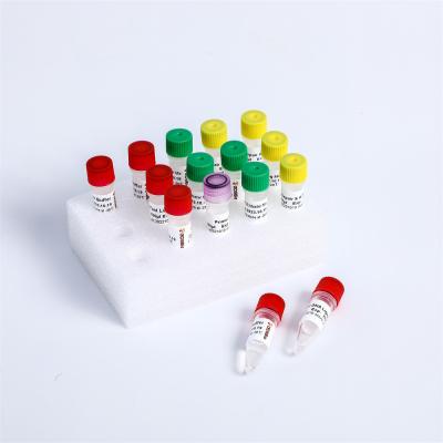 中国 Illumina High Throughput Sequencing Platform NGS Library Construction Fast DNA Library Prep Kit K001-A K001-B 販売のため