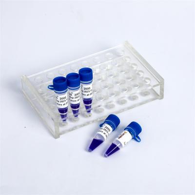 China High Purity Reagents LD DS 2000 DNA Marker Gel Electrophoresis LM1101 LM1102 zu verkaufen