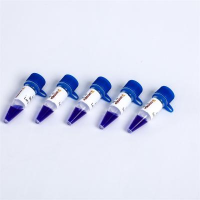 China High Purity Reagents LD DS 2000 DNA Marker Gel Electrophoresis LM1101 LM1102 zu verkaufen