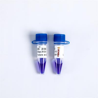 China High Purity Reagents LD DS 2000 DNA Marker Gel Electrophoresis LM1101 LM1102 zu verkaufen
