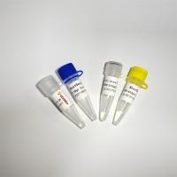 China K009-A K009-B NGS Library Construction Solution For Short Sequence DNA Samples ShortSeq Library Prep Kit for sale