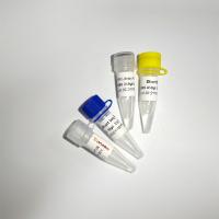 China K009-A K009-B NGS Library Construction Solution For Short Sequence DNA Samples ShortSeq Library Prep Kit for sale