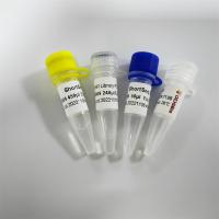 China K009-A K009-B NGS Library Construction Solution For Short Sequence DNA Samples ShortSeq Library Prep Kit for sale