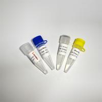 China K009-A K009-B NGS Library Construction Solution For Short Sequence DNA Samples ShortSeq Library Prep Kit for sale
