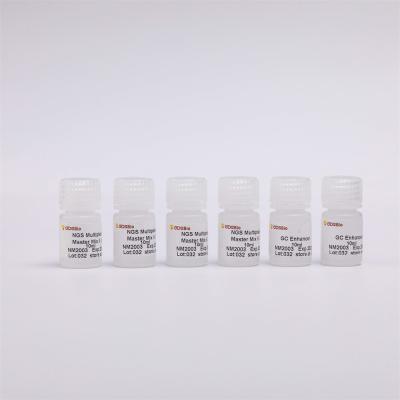 Cina 2X NGS Library Construction Multiplex PCR Master Mix 2000 Reactions in vendita