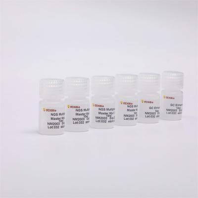 Cina 2X NGS Library Construction Multiplex PCR Master Mix 2000 Reactions in vendita