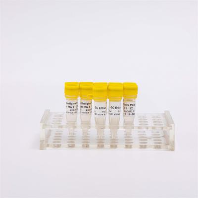 中国 NGS Multiplex 100X Amplification Fidelity PCR Master Mix 400 Reactions Colourless 販売のため