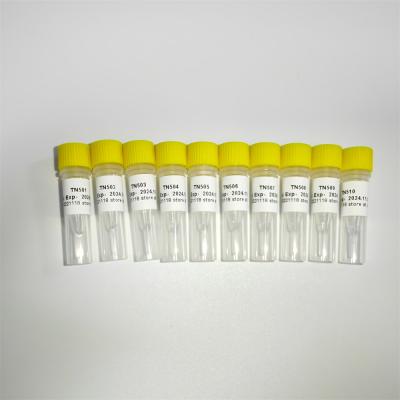 中国 100 rxns NGS Library Construction PCR Amplification TN Primer Index List-A K211-A 販売のため