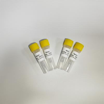 中国 100 rxns NGS Library Construction PCR Amplification TN Primer Index List-A K211-A 販売のため