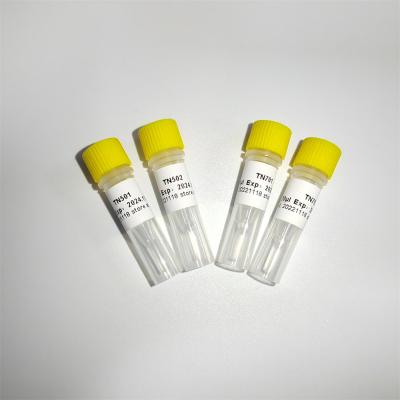 中国 100 rxns NGS Library Construction PCR Amplification TN Primer Index List-A K211-A 販売のため