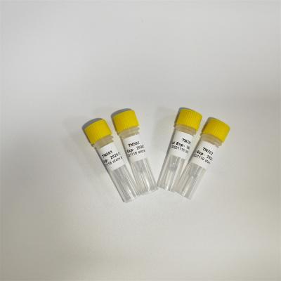 中国 100 rxns NGS Library Construction PCR Amplification TN Primer Index List-A K211-A 販売のため