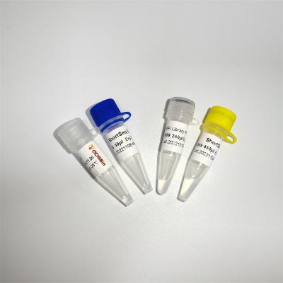 中国 K009-A K009-B NGS Library Construction For Fast DNA Illumina ShortSeq Library Prep Kit 販売のため