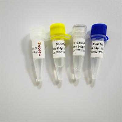 中国 K009-A K009-B NGS Library Construction For Fast DNA Illumina ShortSeq Library Prep Kit 販売のため