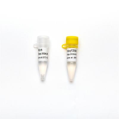 Cina Più matrice della miscela del reagente multiplo diretto della sonda QPCR del DNA Polymeras di Taq di Hotstart 2× con l'enzima di UDG in vendita