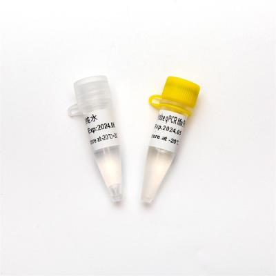 China 2× PCR Directe Samengestelde de Sondeqpcr Mengeling in real time van de Reagensmengeling plus U met Udg-Enzym P2802 5ml Te koop