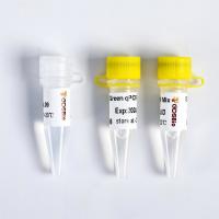 China Fast Restriction Endonuclease PvuI for sale