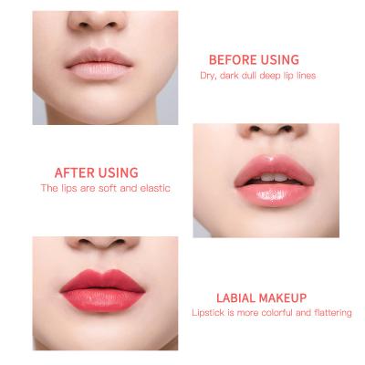 Cina Il labbro d'alleggerimento dell'OEM sfrega il balsamo di labbra rosa di Exfoliator e sfrega 10g in vendita