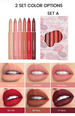 Cina Sharpenable girante Matte Lip Crayon Smudge Resistant che idrata il rossetto vellutato nudo di tatto in vendita