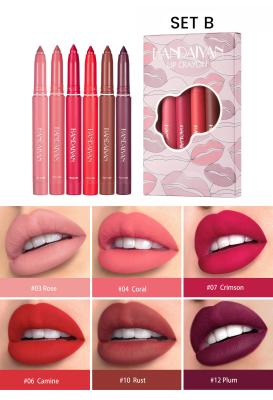 Cina Sharpenable girante Matte Lip Crayon Smudge Resistant che idrata il rossetto vellutato nudo di tatto in vendita
