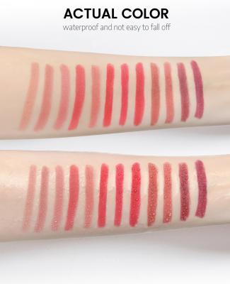 Cina Sharpenable girante Matte Lip Crayon Smudge Resistant che idrata il rossetto vellutato nudo di tatto in vendita