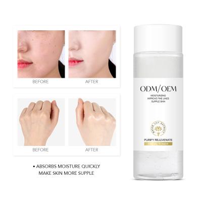 Cina MSDS Female Skin Care Face Toner Delay Aging Antioxidant Facial Toner in vendita