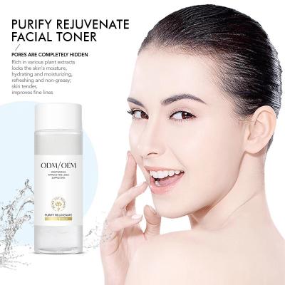 Cina MSDS Female Skin Care Face Toner Delay Aging Antioxidant Facial Toner in vendita