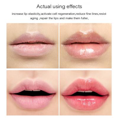 中国 GMPC Lip Gloss Hydrated Moisturize Refine Dryness Wrinkles Enhances Lip Plump 販売のため