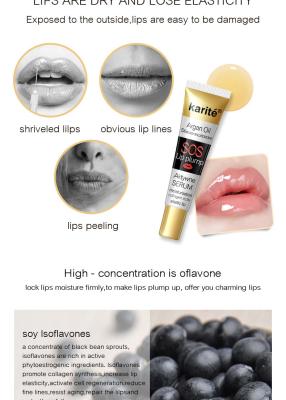 中国 GMPC Lip Gloss Hydrated Moisturize Refine Dryness Wrinkles Enhances Lip Plump 販売のため