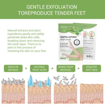 Cina Exfoliating And Moisturizing Aloe Vera Foot Mask For Rejuvenating in vendita