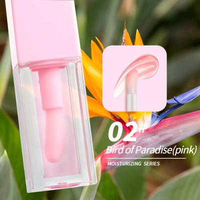 Cina High Shine Non Sticky Lip Gloss Hydrating Lustrous Clear Lip Plumper Oil in vendita