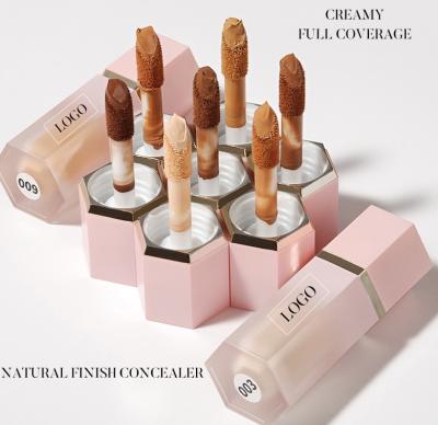 Cina 8ml OEM Skin Care Products Neutral No Logo Concealer 10 Color Liquid Spot Foundation in vendita