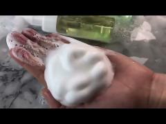 Pulitrice facciale di schiumatura MSDS Rose Water Face Cleanser di controllo 120ML dell'olio