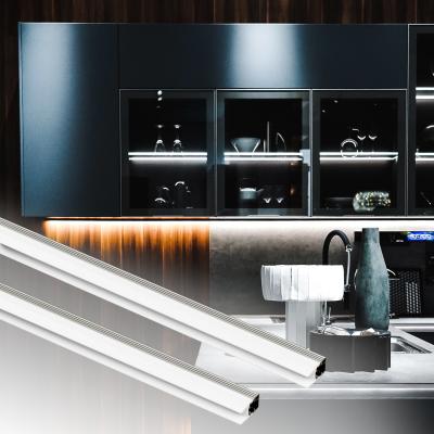 Cina Servizio di taglio di luce a LED per armadio a profilo di alluminio 12/24V DC A2109 in vendita