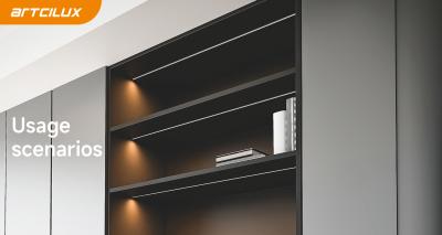China A2Q0H Directly Illuminated Recessed Strip Light 1000*14*10.3 7.5w/m Triple Color CRI＞90 Plug-in Power Source Support Dimmer for sale