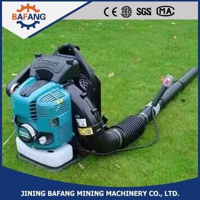 China Reliable quality of big power gasoline engine snow blower leaf blower fire extinguishing blower for sale