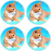 China Natural Rubber Round Drink Coasters Modern Style Pattern Design for sale